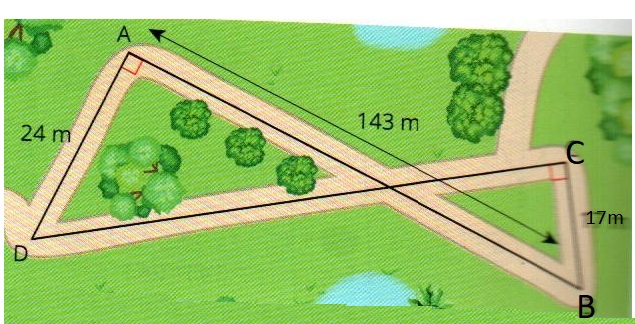 Exercice 17: Le théorème de Pythagore : Classe de 4ème