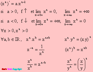 Cours sur la fonction puissance pour la classe de terminale S